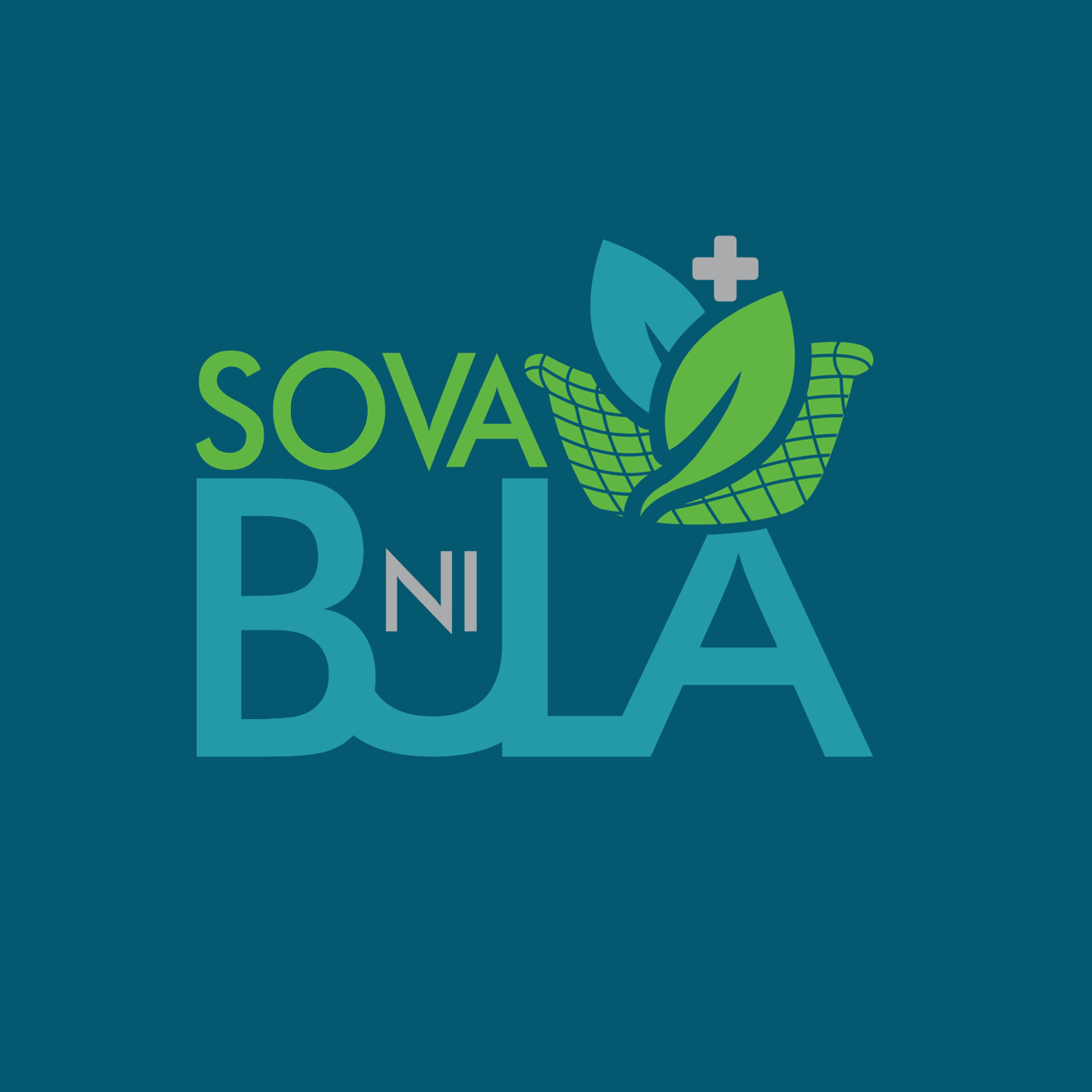 Sova ni Bula